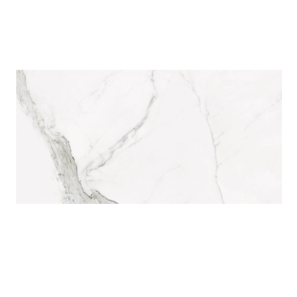Happy Floors Statuario Matte Porcelain Tile - 12 x 24 in.