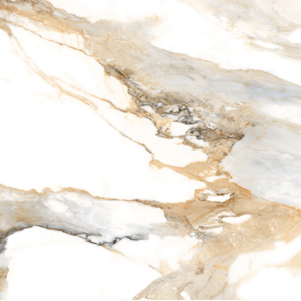 Crash Beige Natural Porcelain Floor & Wall Tile – 24 x 24 in